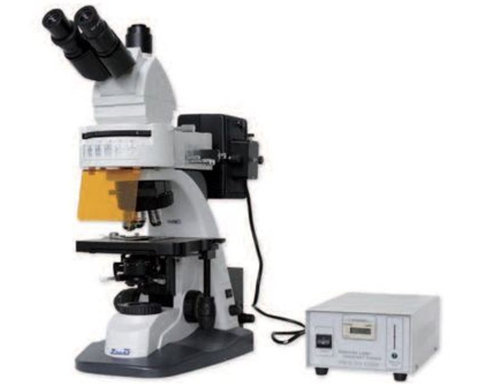 STUDENT MICROSCOPE